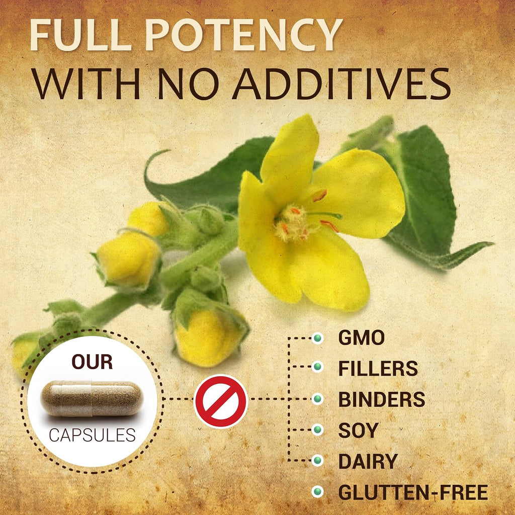 Vegan-friendly Mullein leaf capsules