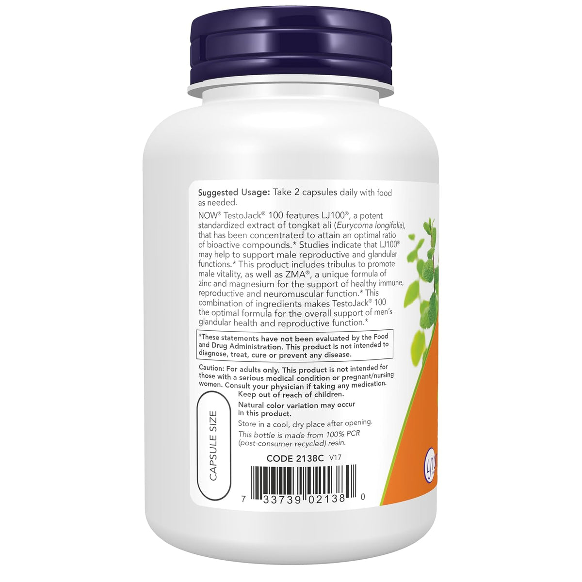 vegan-friendly multivitamin capsules