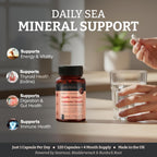 vegan-friendly multivitamin capsules