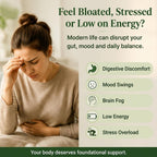 vegan-friendly multivitamin supplement