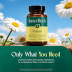 Vegan-friendly multivitamins for overall health