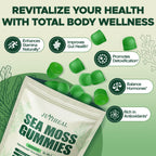 vegan friendly multivitamins for vitality