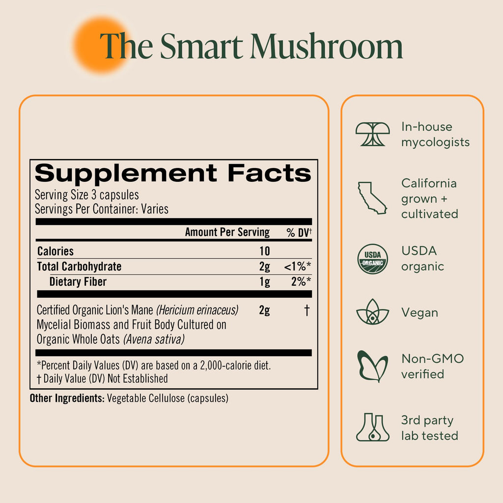 vegan-friendly mushroom brain booster