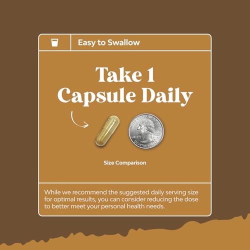 Vegan-friendly mushroom capsules for health enthusiasts