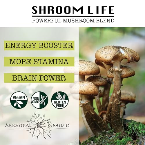 vegan-friendly mushroom capsules for strength