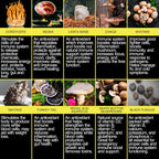 vegan-friendly mushroom capsules