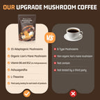 vegan friendly mushroom coffee blend