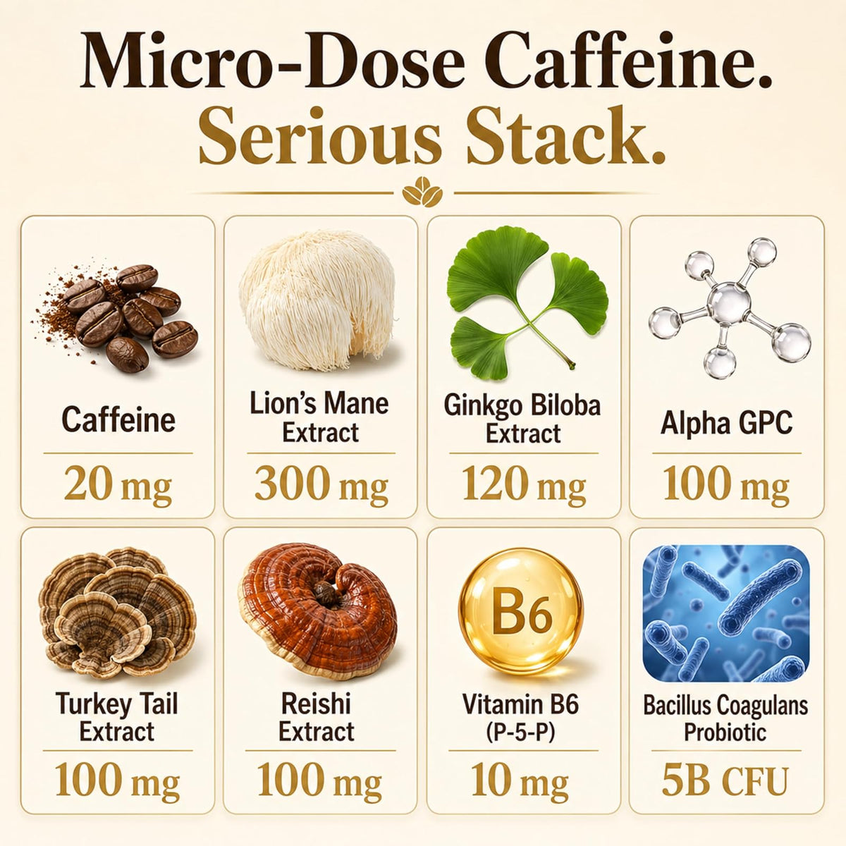 Vegan-friendly mushroom coffee gummies