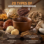 vegan friendly mushroom coffee mix