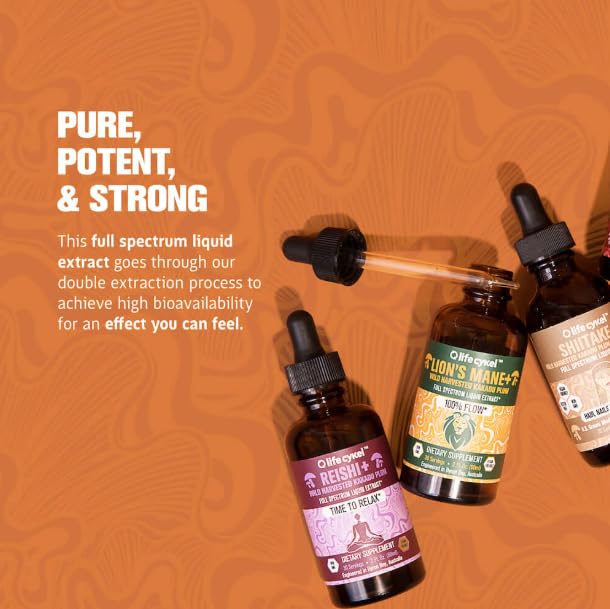 vegan-friendly mushroom extract formula