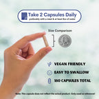 vegan-friendly mushroom extract
