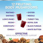 Vegan-friendly mushroom gummies for wellness