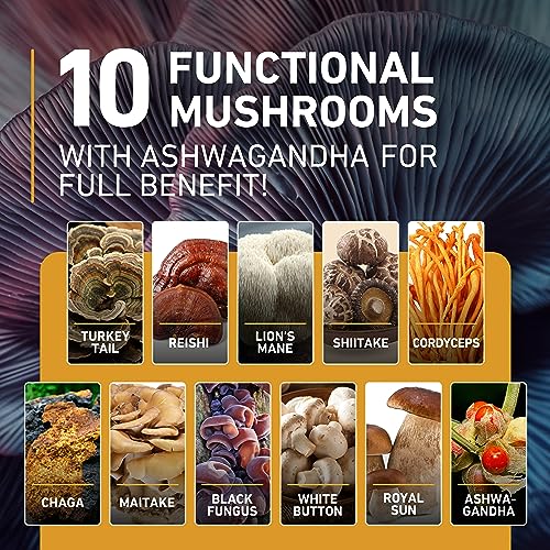Vegan-friendly mushroom gummy supplements