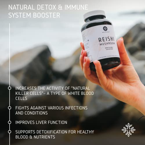 Vegan-friendly mushroom health capsules