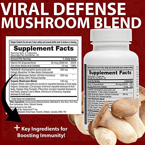 vegan-friendly mushroom health capsules