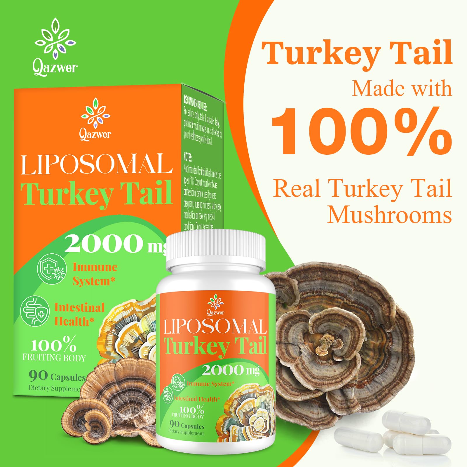 Vegan-friendly mushroom health capsules