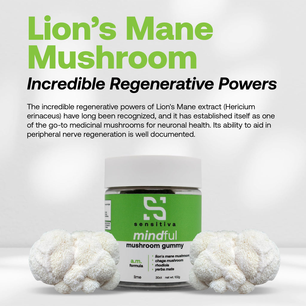 Vegan friendly mushroom health gummies