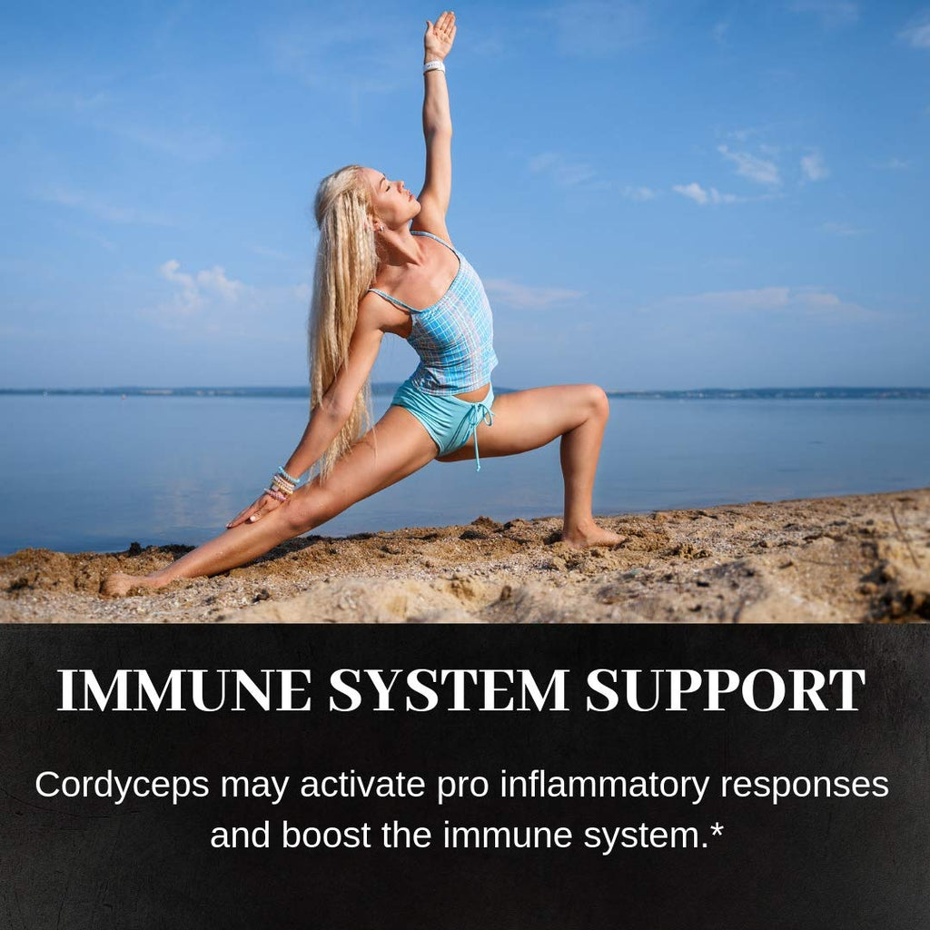 Vegan-friendly mushroom health supplement