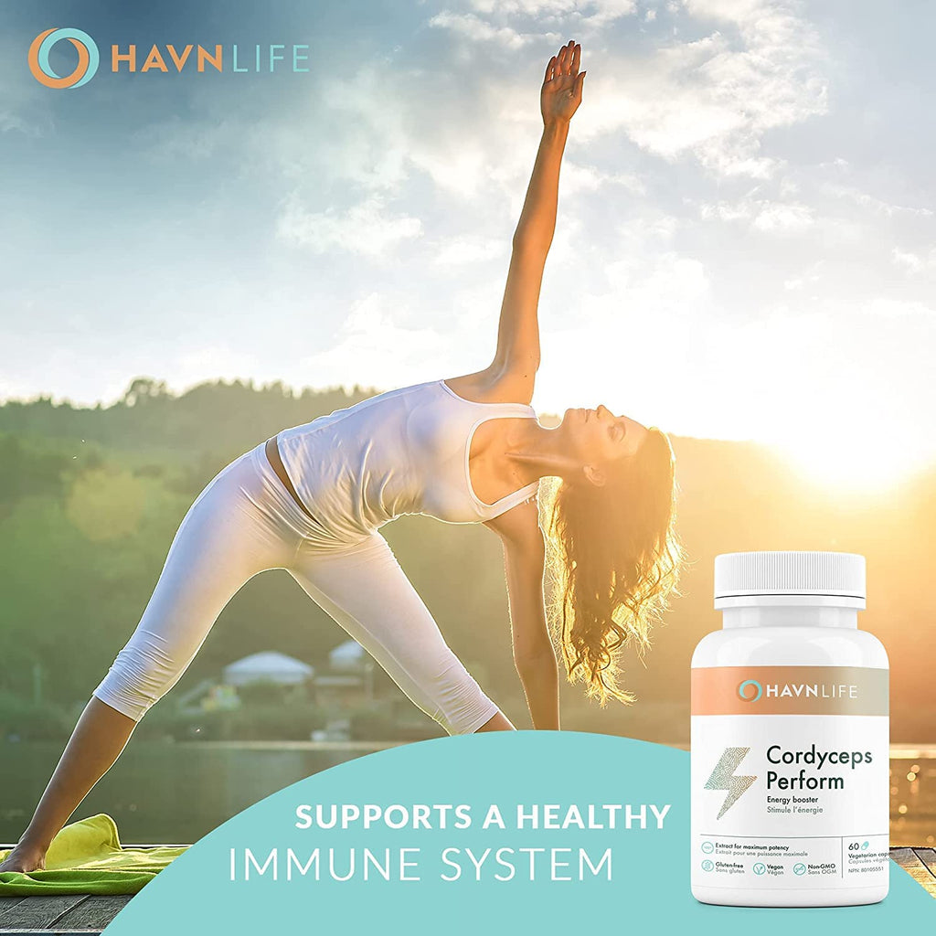 Vegan-friendly mushroom health supplement