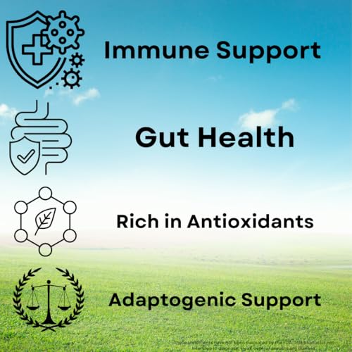 vegan-friendly mushroom health supplement