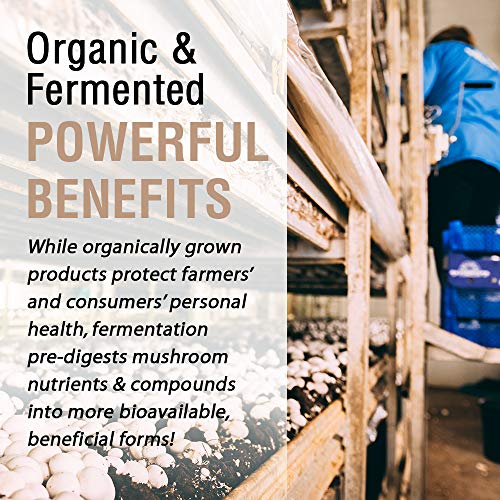 vegan-friendly mushroom health supplement