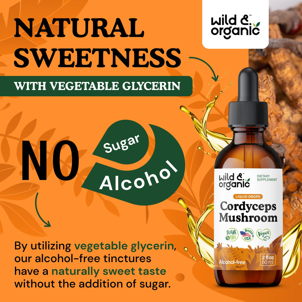 Vegan-friendly mushroom health supplement