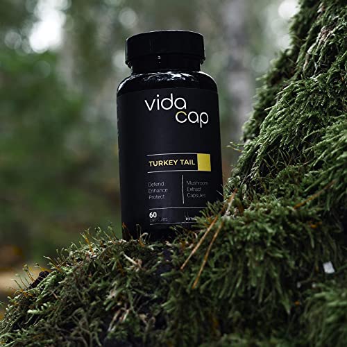 Vegan-friendly mushroom health supplement