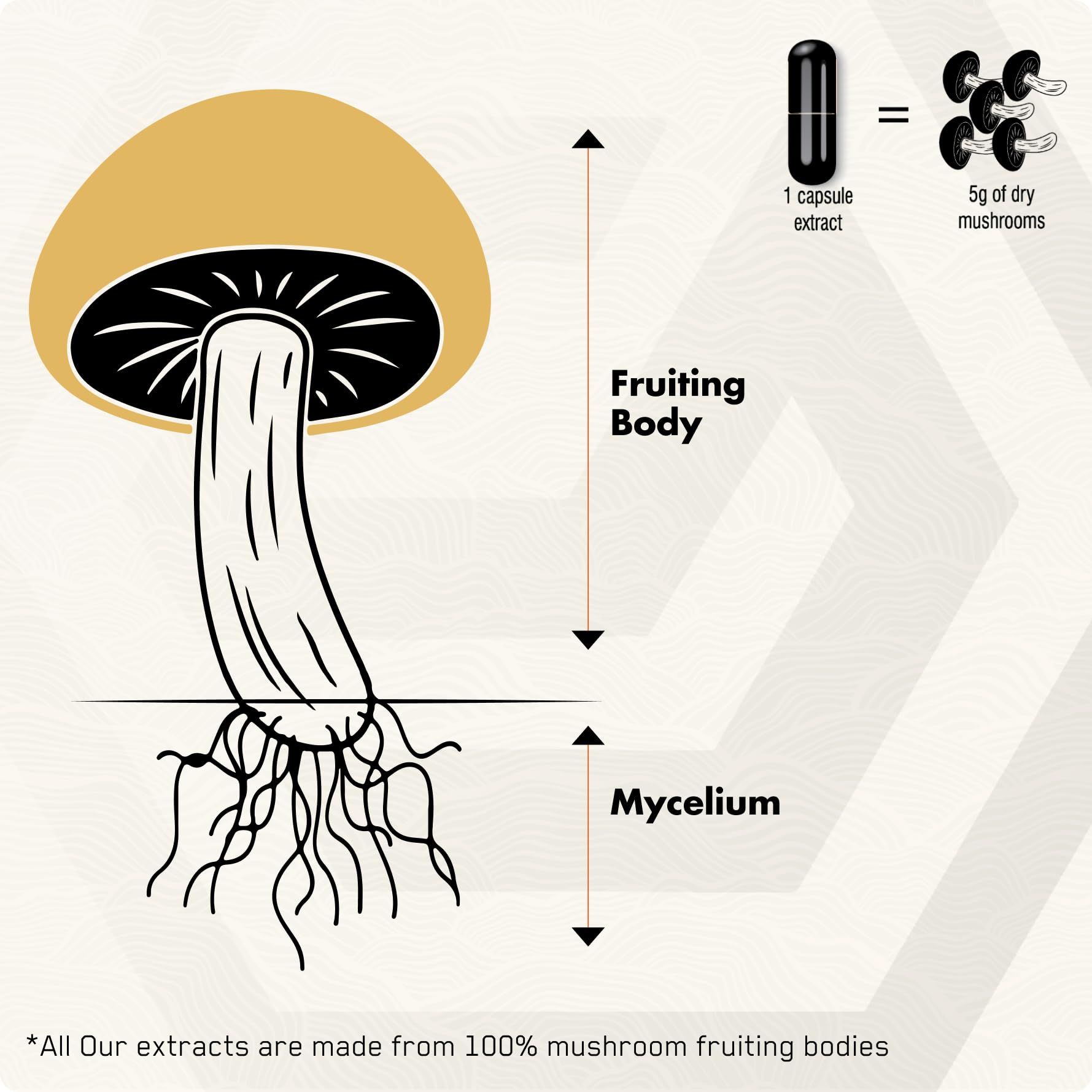 vegan-friendly mushroom health supplement