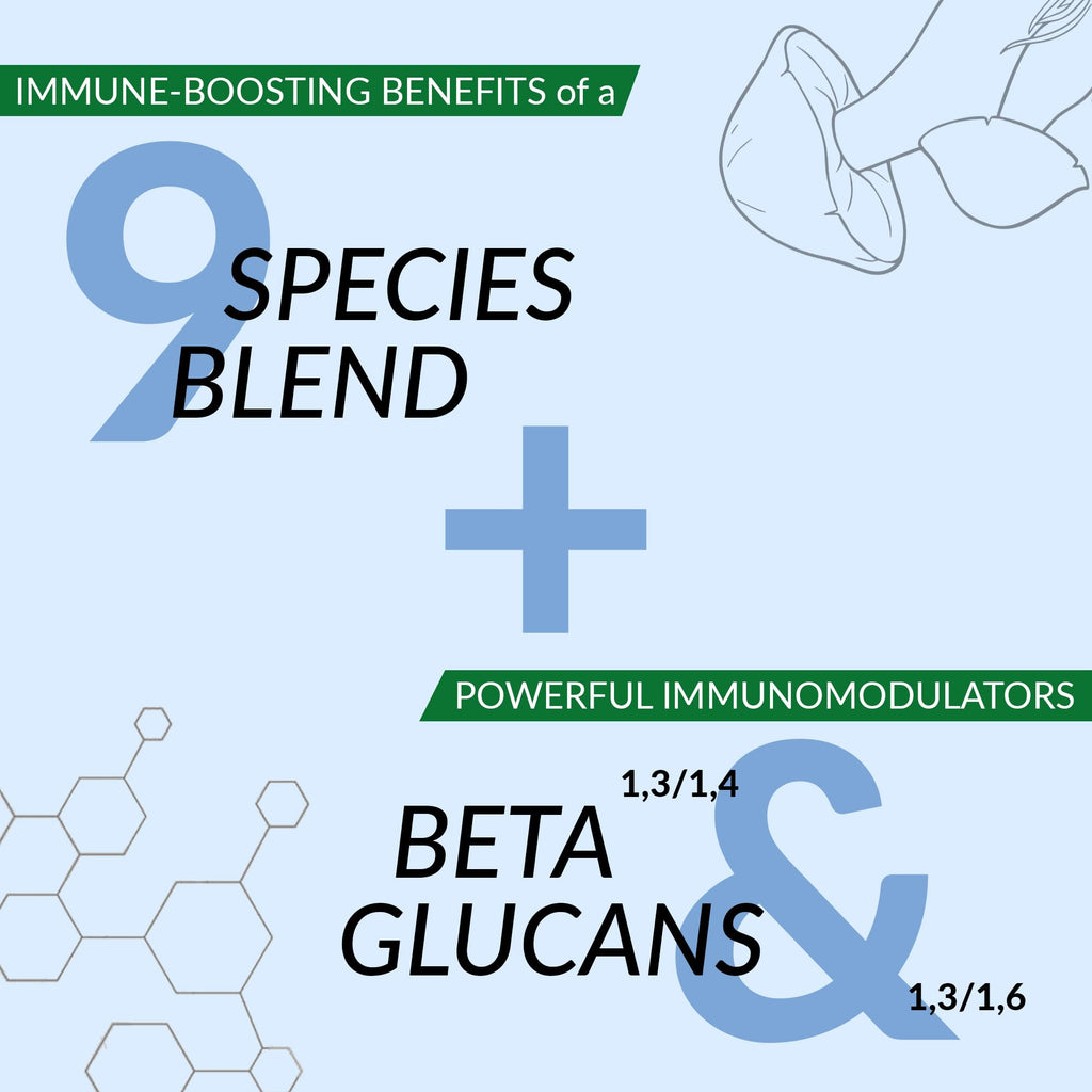 vegan-friendly mushroom immune booster