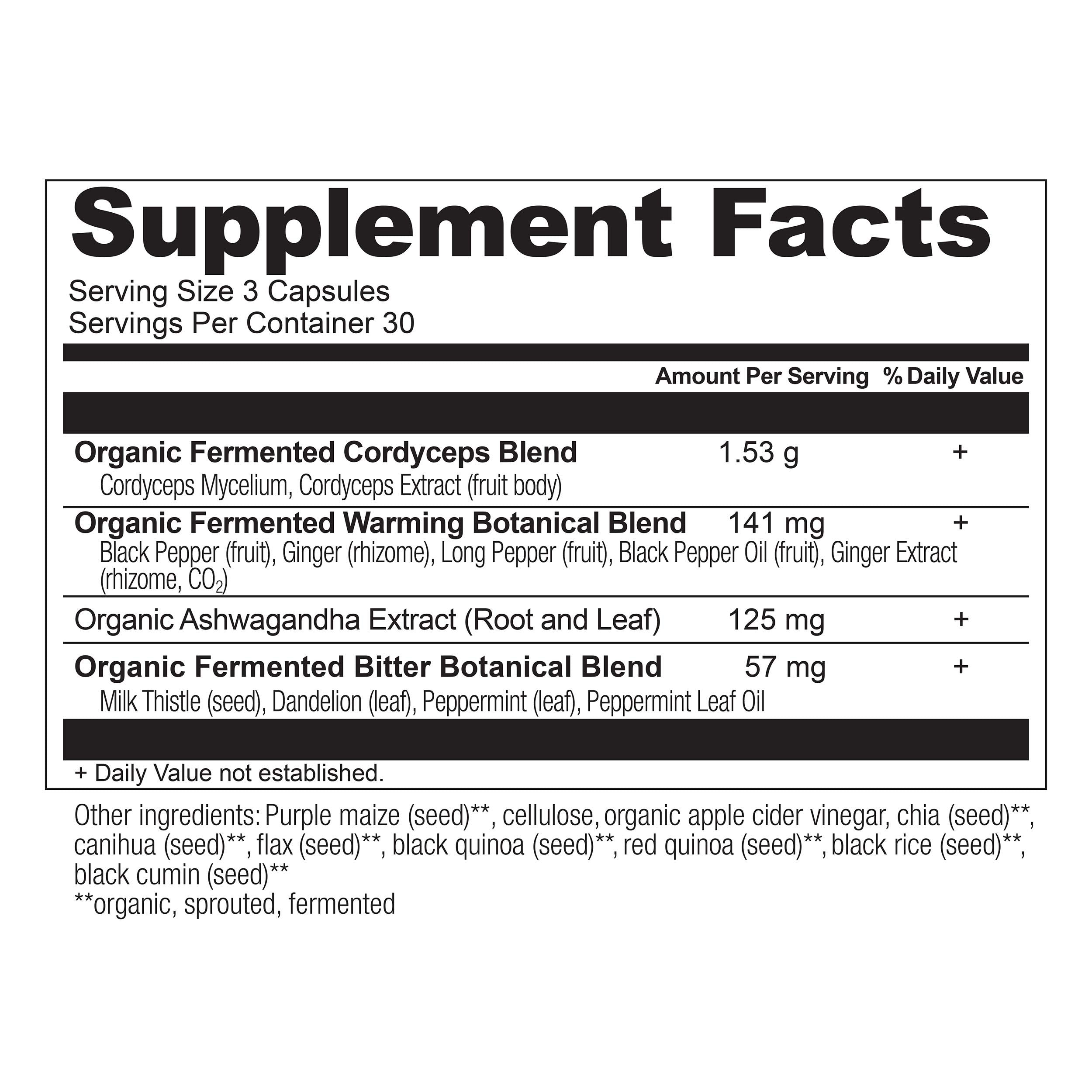 vegan-friendly mushroom supplement capsules