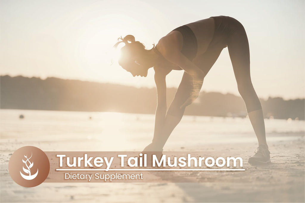 Vegan-friendly mushroom supplement capsules