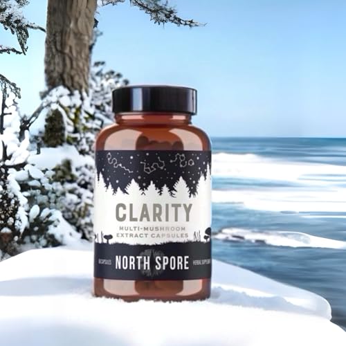 Vegan-friendly mushroom supplement capsules