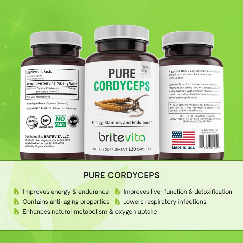 vegan-friendly mushroom supplement option