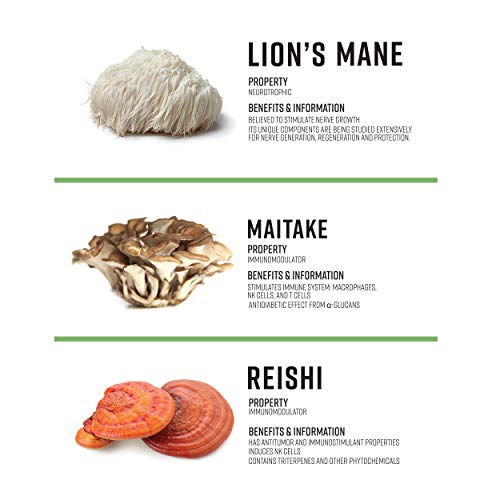 vegan-friendly mushroom supplement option