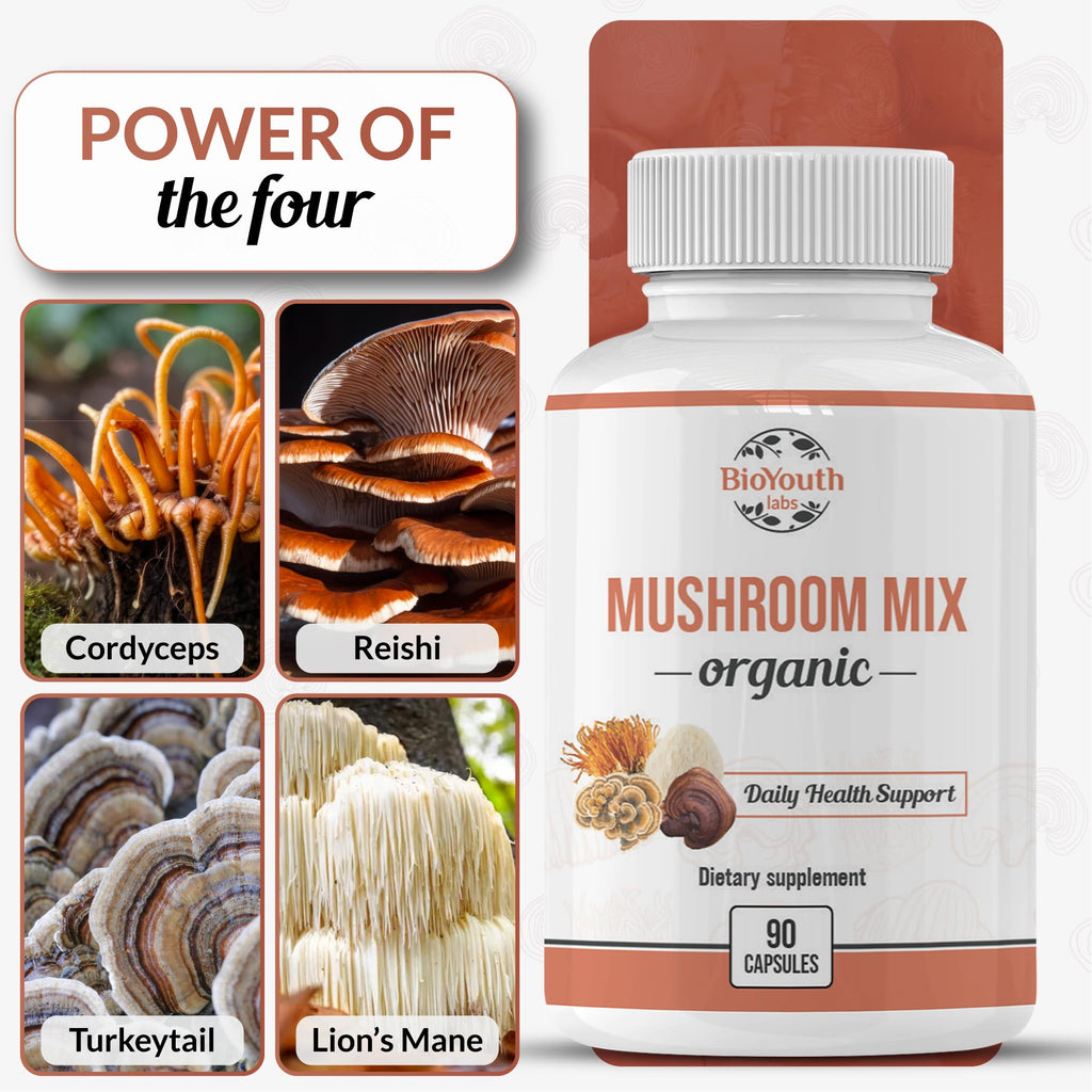vegan-friendly mushroom supplement option