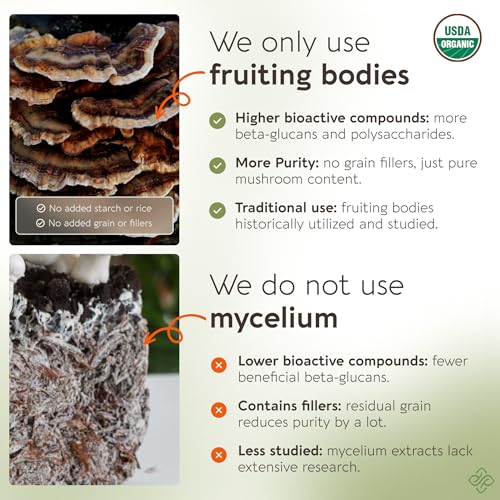 vegan-friendly mushroom supplement
