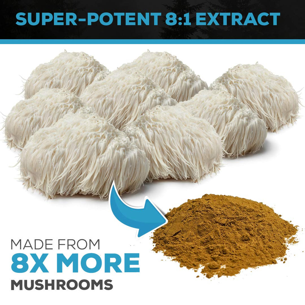 vegan-friendly mushroom supplement