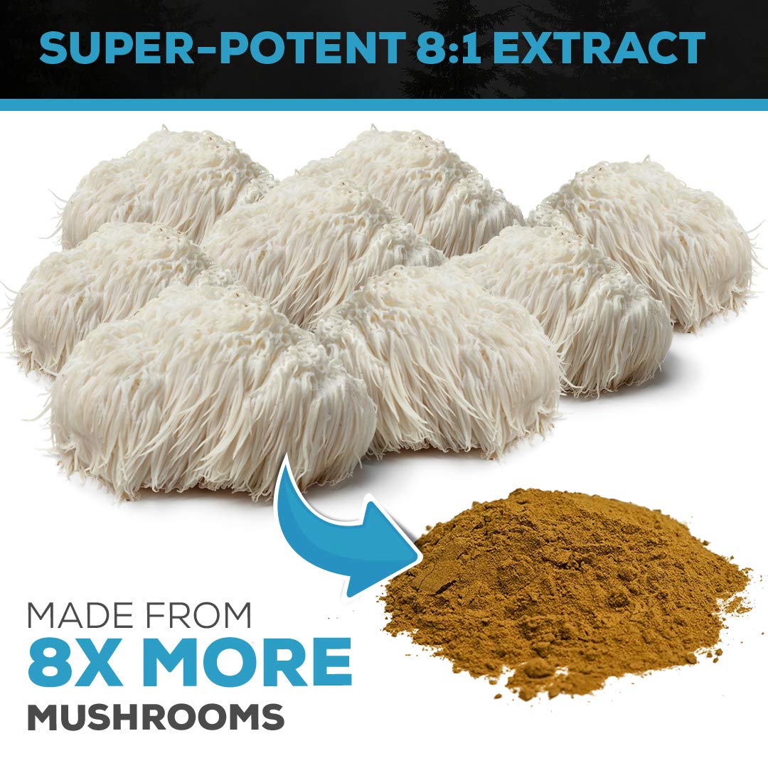 vegan-friendly mushroom supplement