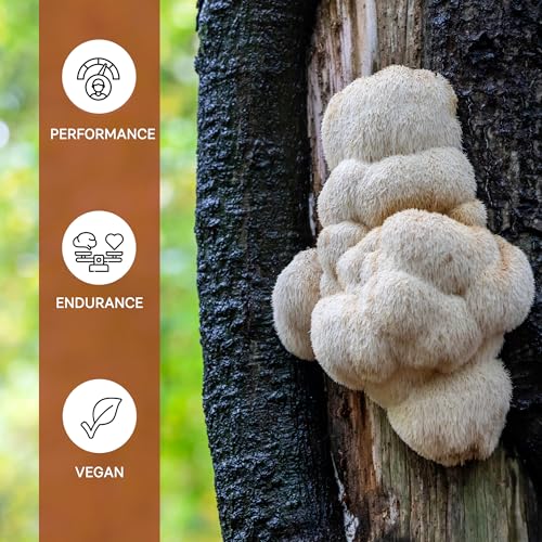 vegan-friendly mushrooms for health