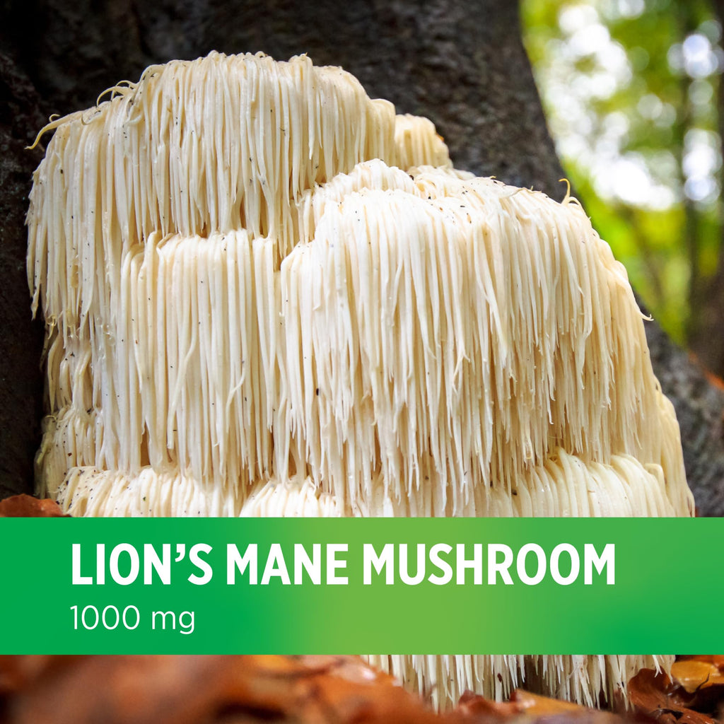vegan-friendly mushrooms for health