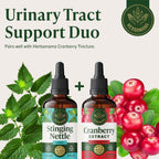 vegan-friendly nettle leaf capsules