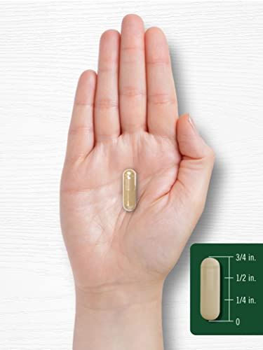 Vegan-friendly nettle supplement option