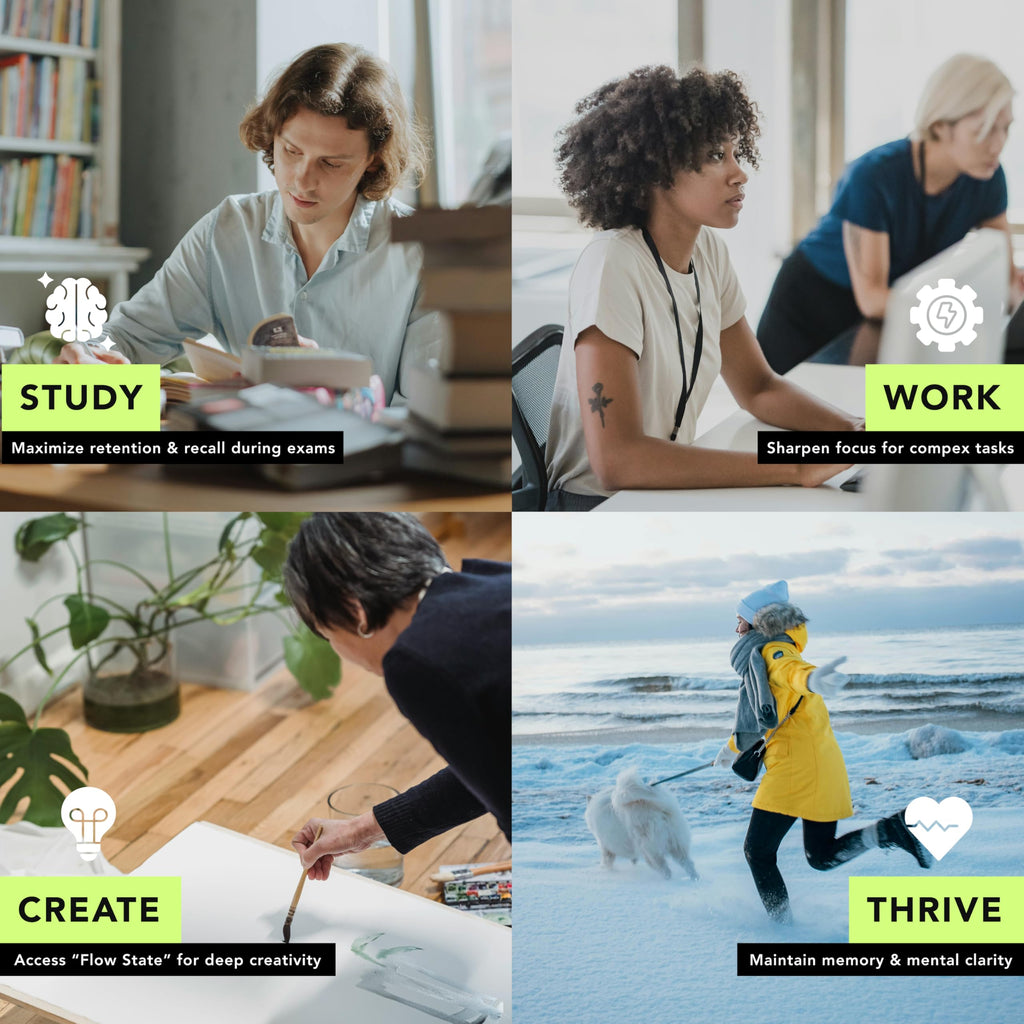 Vegan-friendly nootropic for students