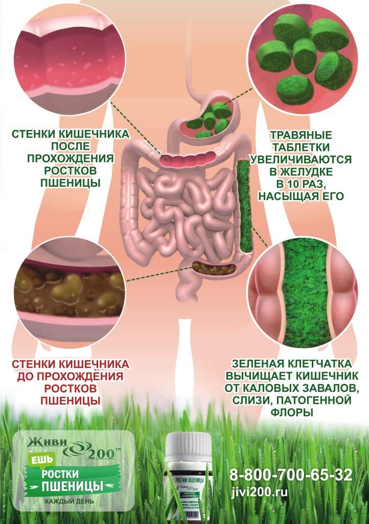 vegan-friendly nutritional capsules