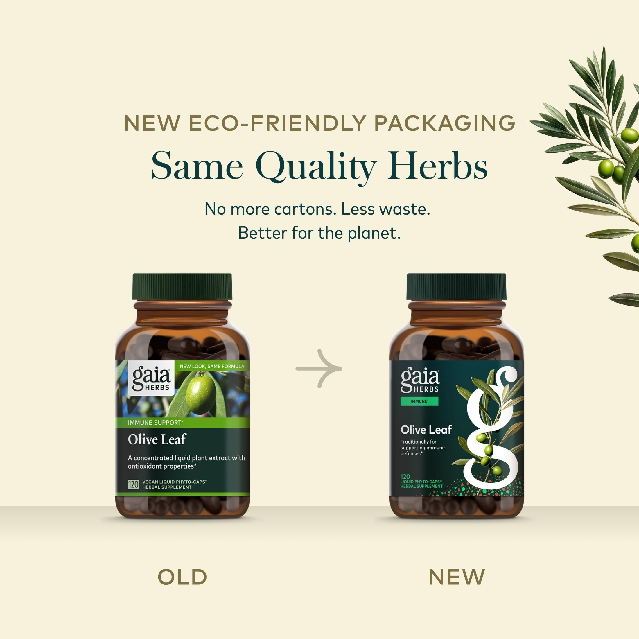 vegan-friendly olive leaf health aid