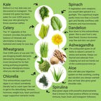 vegan-friendly organic greens powder