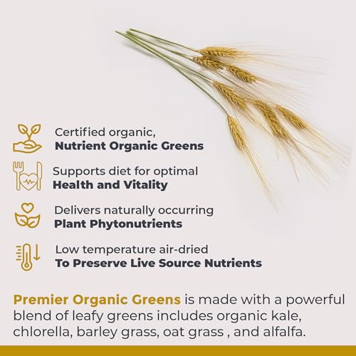 vegan-friendly organic greens powder