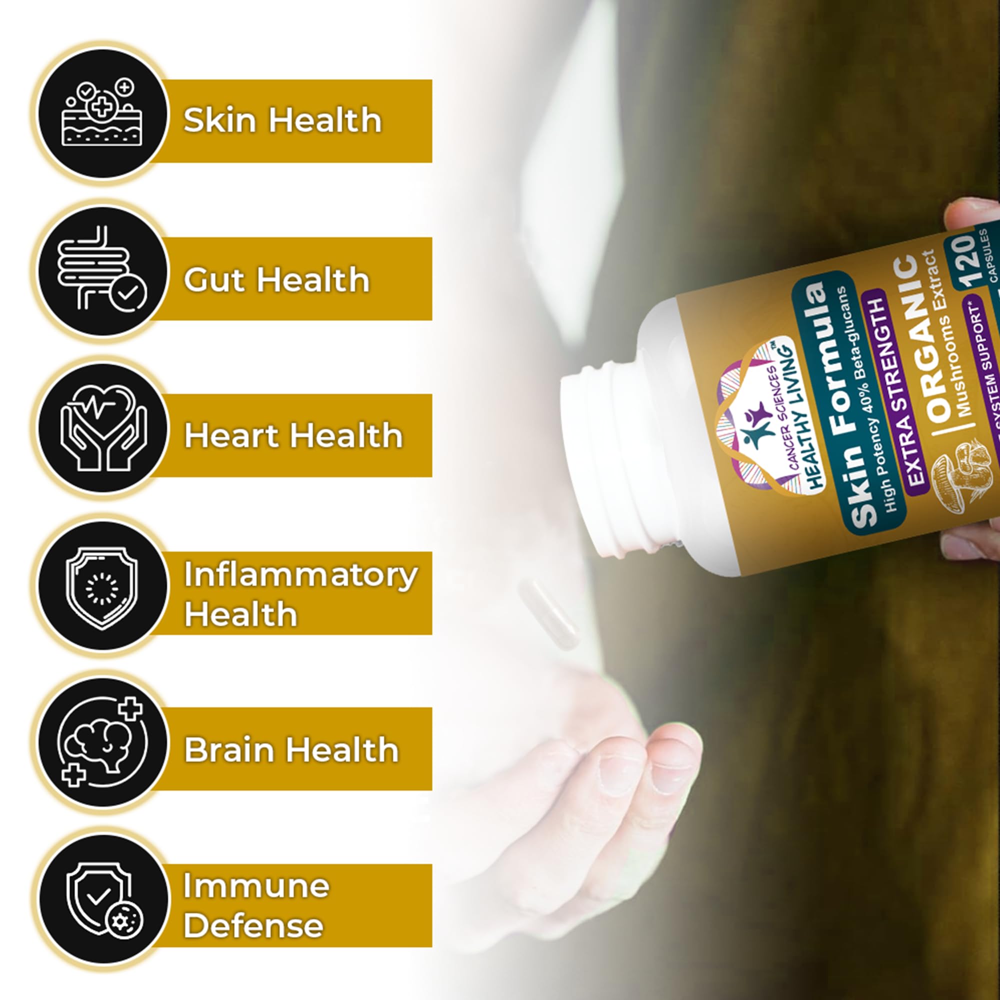 vegan friendly organic mushroom formula