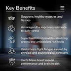vegan-friendly plant protein supplement