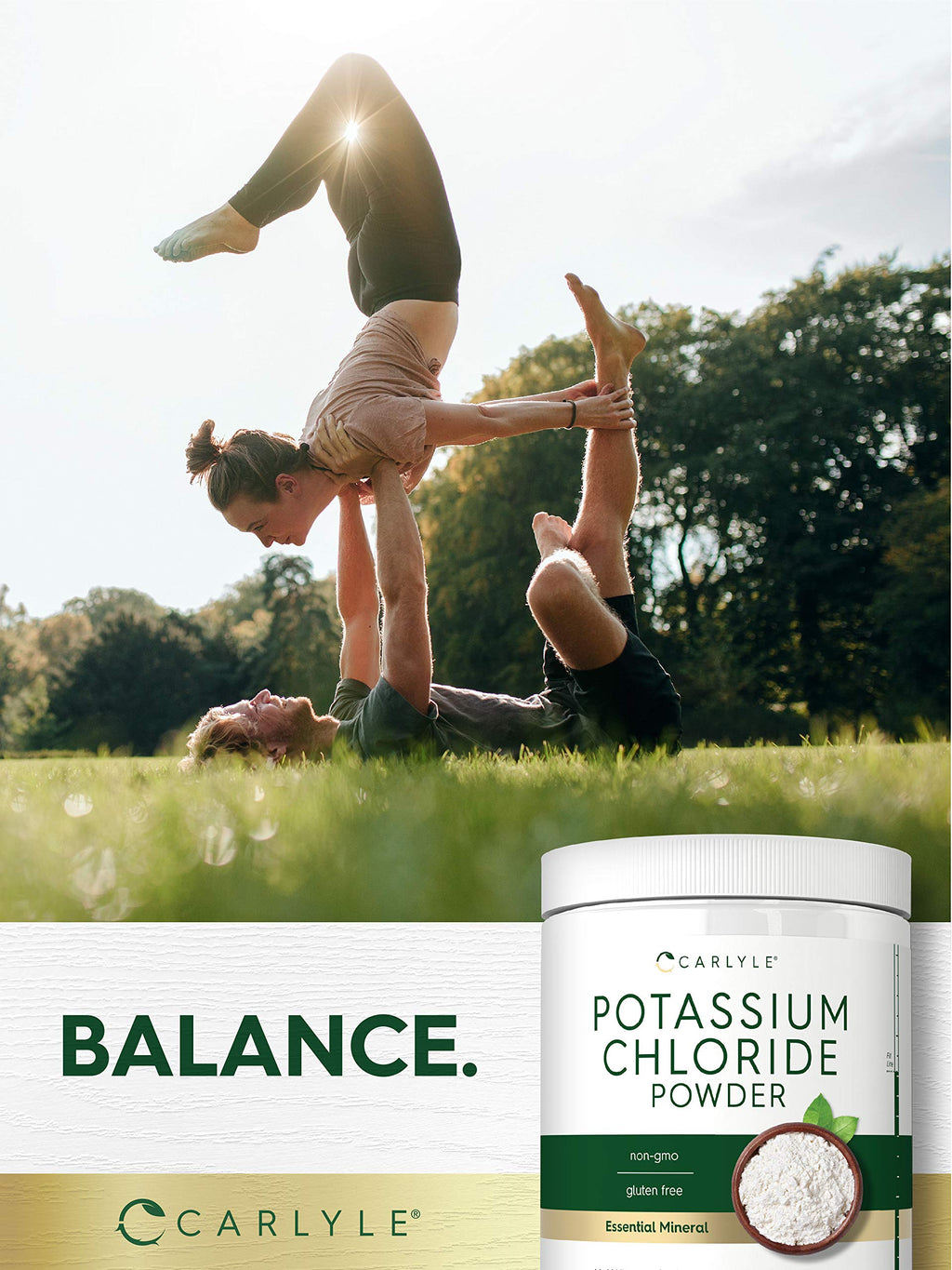 vegan-friendly potassium supplement powder